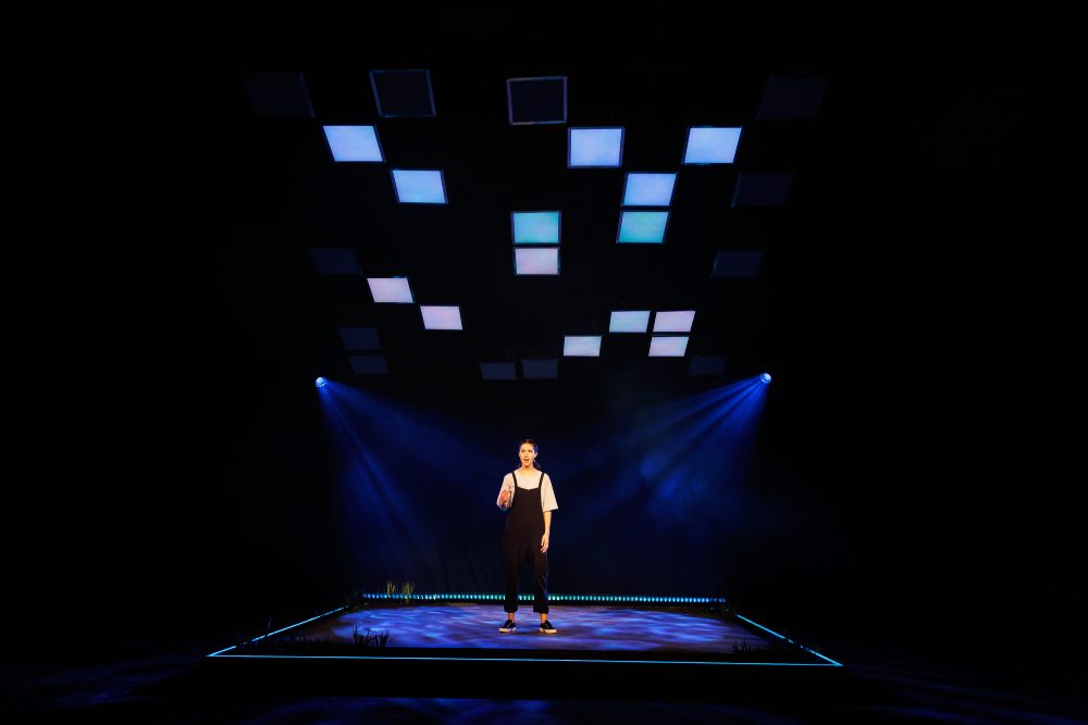 One Woman Show est un théâtre absolument sublime – critique - Gayvox